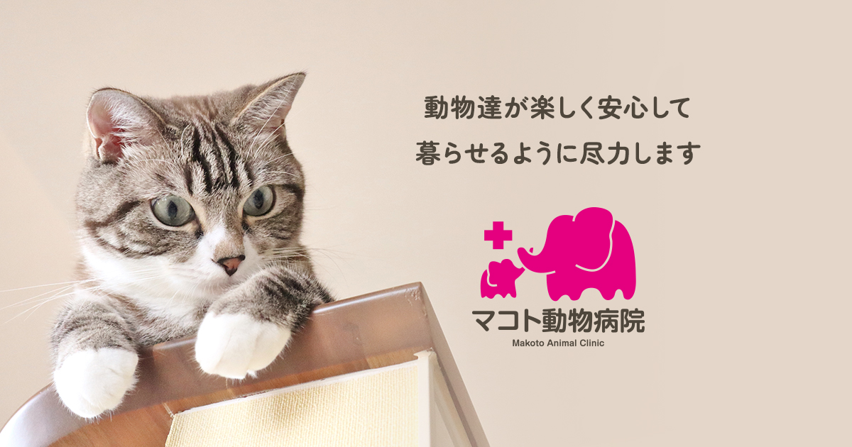 お知らせ | マコト動物病院、札幌市白石区のペットのための病院です